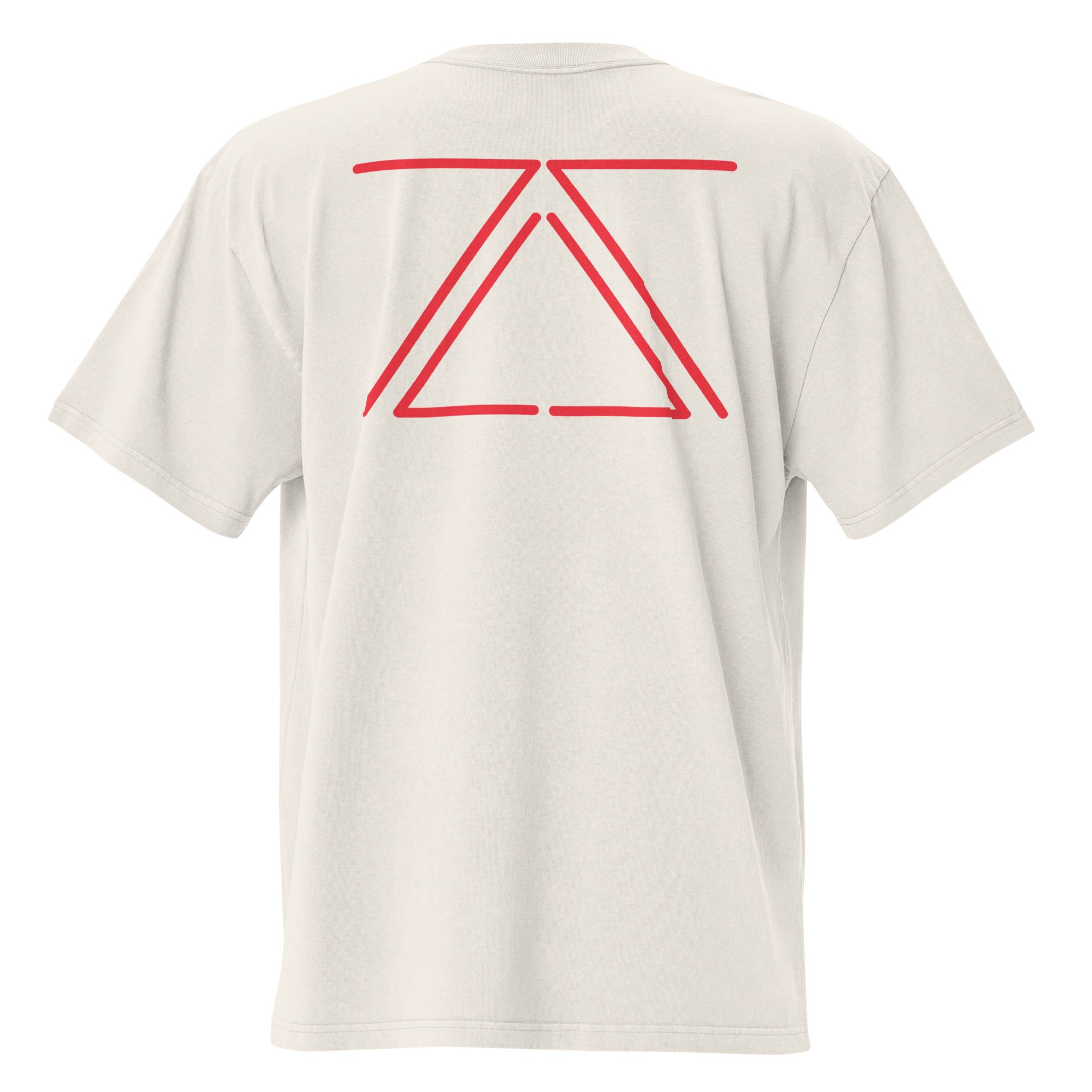 Oversized zSecurity t-shirt - zSecurity