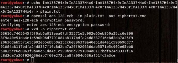Bit Flipping Attacks Against Cipher Block Chaining Algorithms Zsecurity