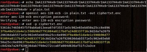 Bit Flipping Attacks Against Cipher Block Chaining Algorithms Zsecurity