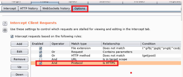 Intercepting HTTPS Requests With Burp Proxy - zSecurity