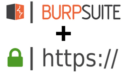 Intercepting HTTPS Requests With Burp Proxy - zSecurity