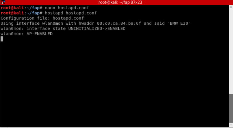 How To Start a Fake Access Point (Fake WIFI) - zSecurity