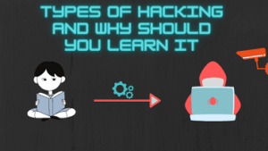 Why You Should Learn Hacking! – zSecurity