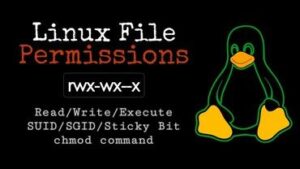 Kali Linux – zSecurity