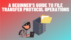 FTP 101: A Beginner's Guide to File Transfer Protocol Operations ...